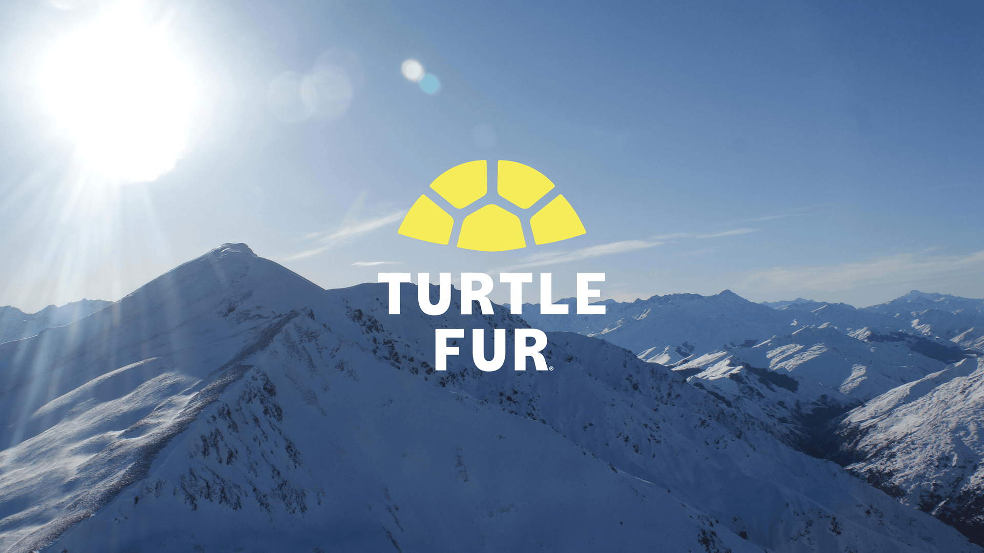 Unveiling the New Turtle Fur Branding: A Symbol of Protection and Insp – Turtle Fur®