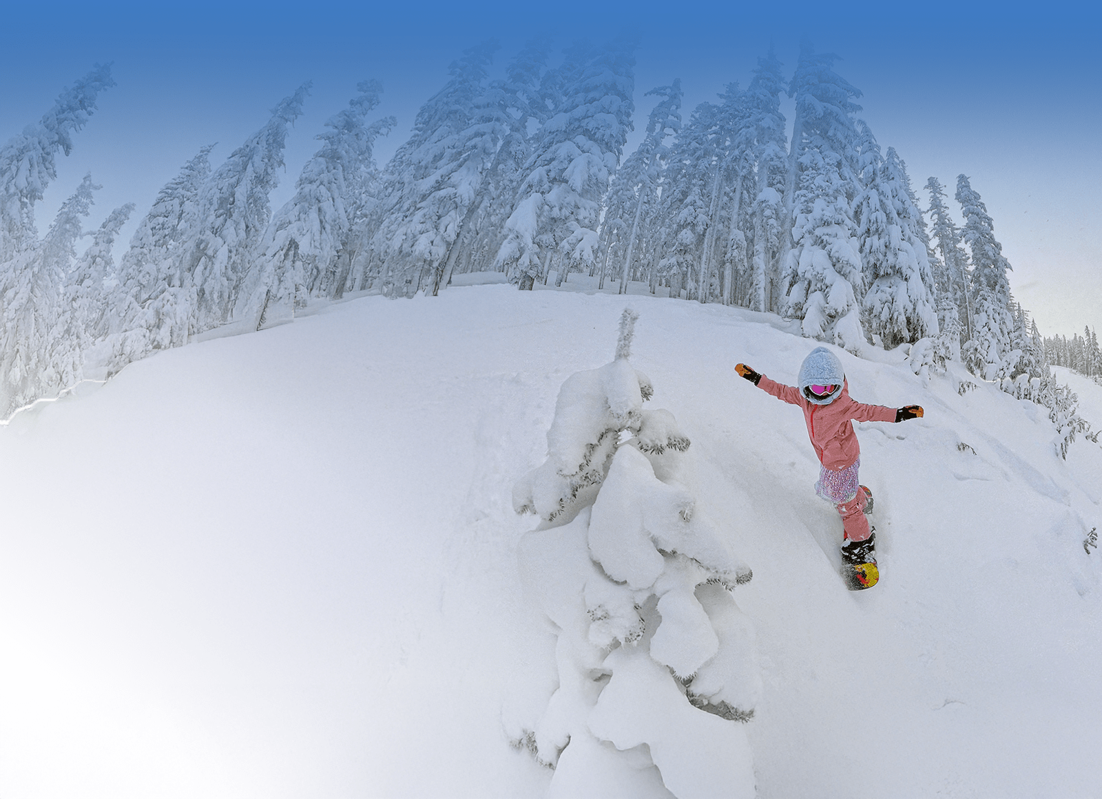 Step Outside Your Shell – Turtle Fur®